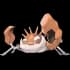 Agility - Move - PokeDB: The Ultimate Pokémon Database